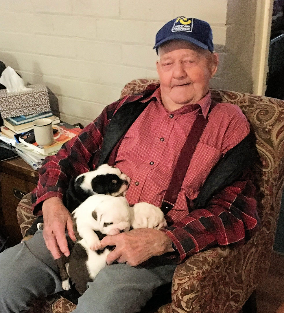 Bill Koopman | Brian Walsh Funerals